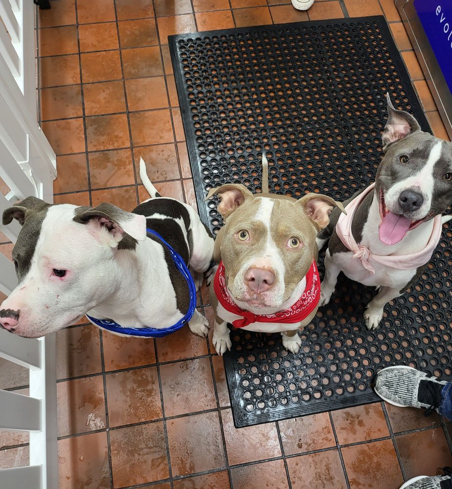 Ways to Save – Luna's Dog Wash